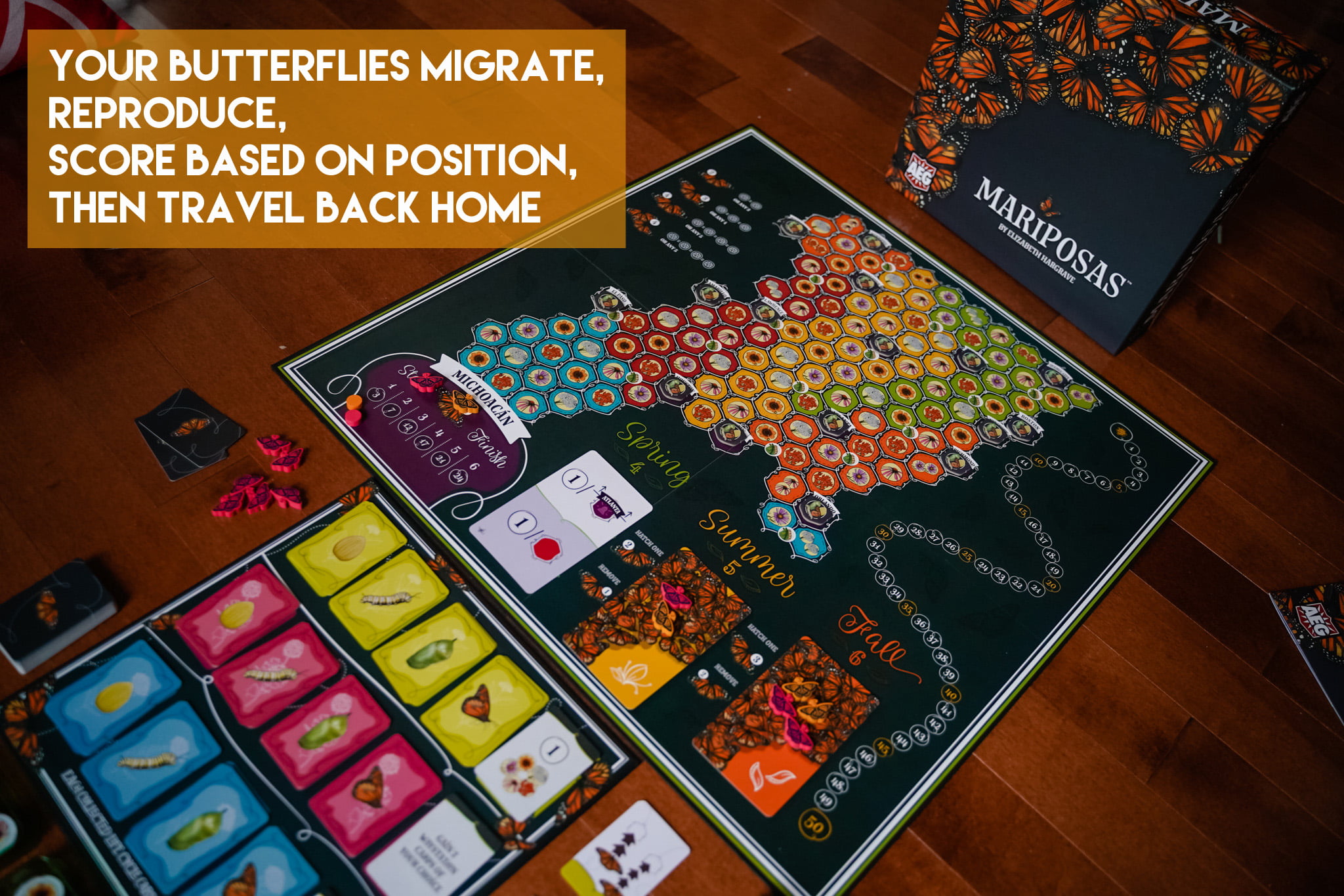 Mariposas :: Board Game Review :: Gameschooling | Little Meeples